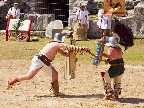 The animal gladiators of hubris - The Nut Graph